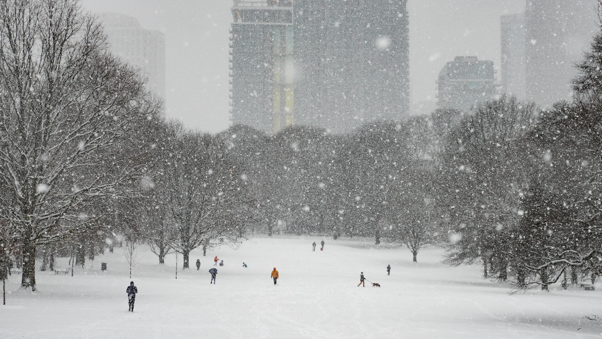 Snow Day 2025: How Atlanta embraced unusual winter weather